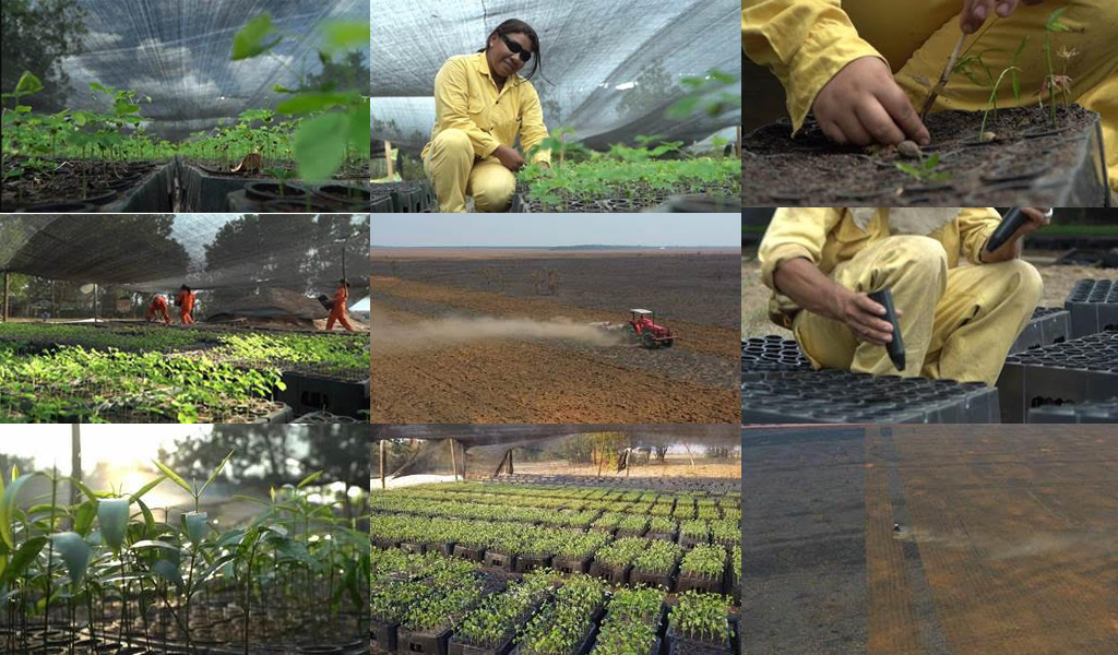 Hocol desarrolla reserva sostenible de 1.276 hectáreas en la zona de ...