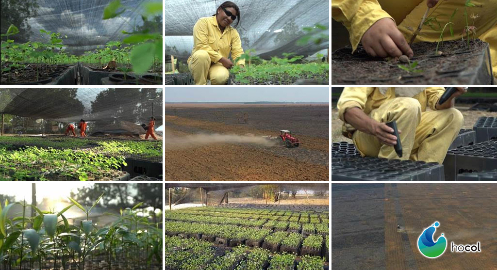 Hocol desarrolla reserva sostenible de 1.276 hectáreas en la zona de ...
