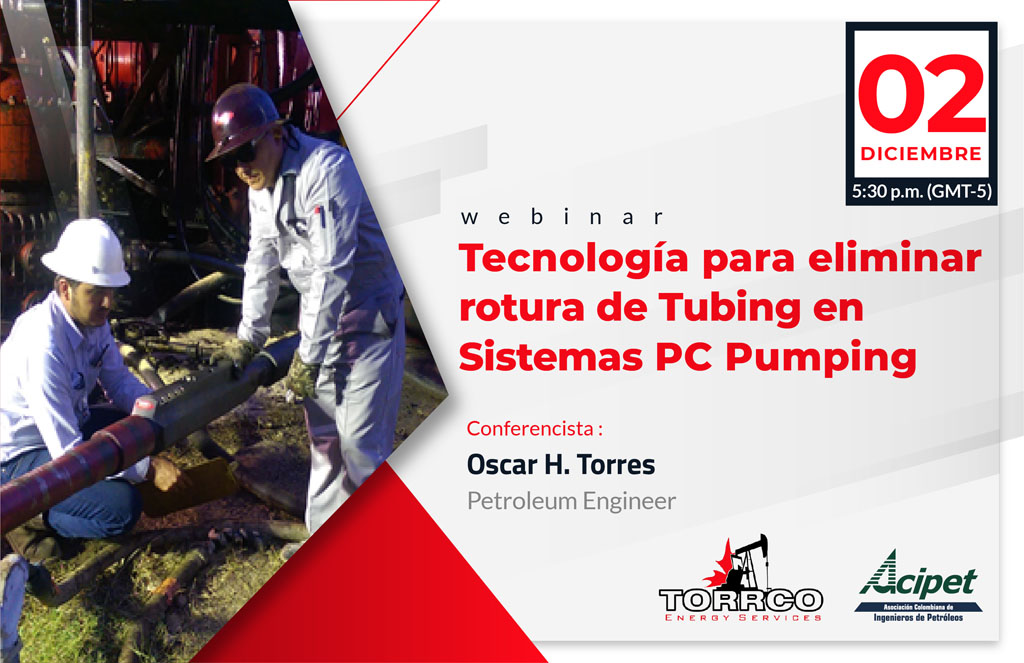 ACIPET DIC 02 - Petroleumag