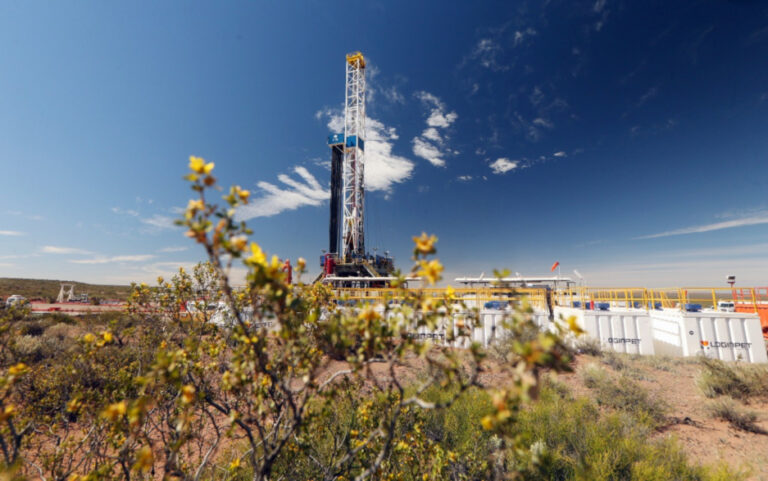 Shell Argentina aumenta participación en Coirón Amargo Sur Oeste ...