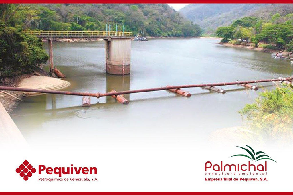 EL PETRÓLEO SEMBRADO | Pequiven recuperó la cuenca del río Morón ...